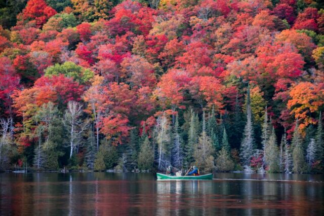 5 Ways to Enjoy Fall Season in Ontario | Tourism Sault Ste. Marie